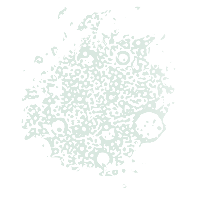 Resources Archive - Phylagen